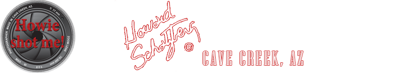 2026 Requested Archives - Howard Schatzberg Horse Show Proofs ...