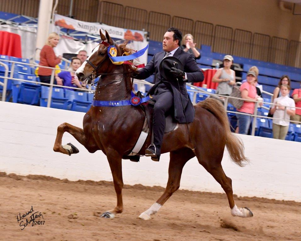 2017 Carousel Charity Horse Show - Howard Schatzberg Horse Show Proofs ... 2017 Carousel Charity Horse Show - Howard Schatzberg Horse Show Proofs ...