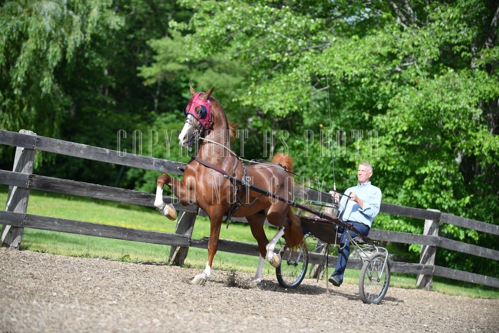 Rand Stables - Farm proofs - 2018 - www.howardschatzbergphoto.com