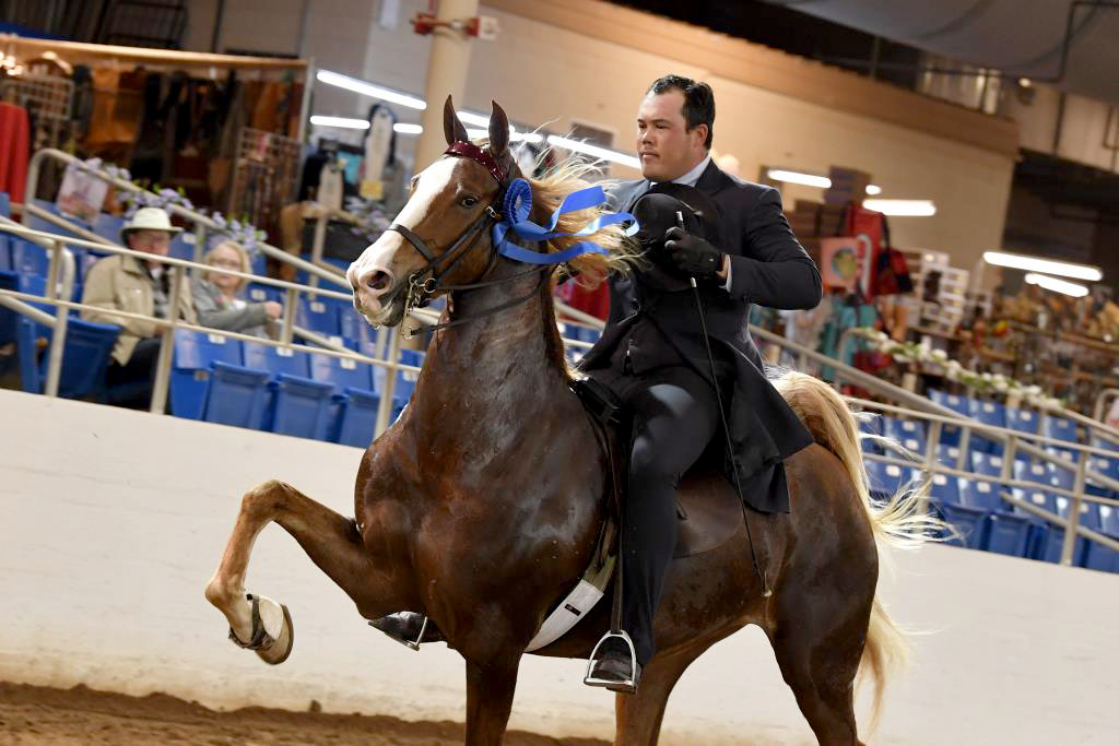 Carousel Charity - Howard Schatzberg Horse Show Proofs - 2020 - www ... Carousel Charity - Howard Schatzberg Horse Show Proofs - 2020 - www ...