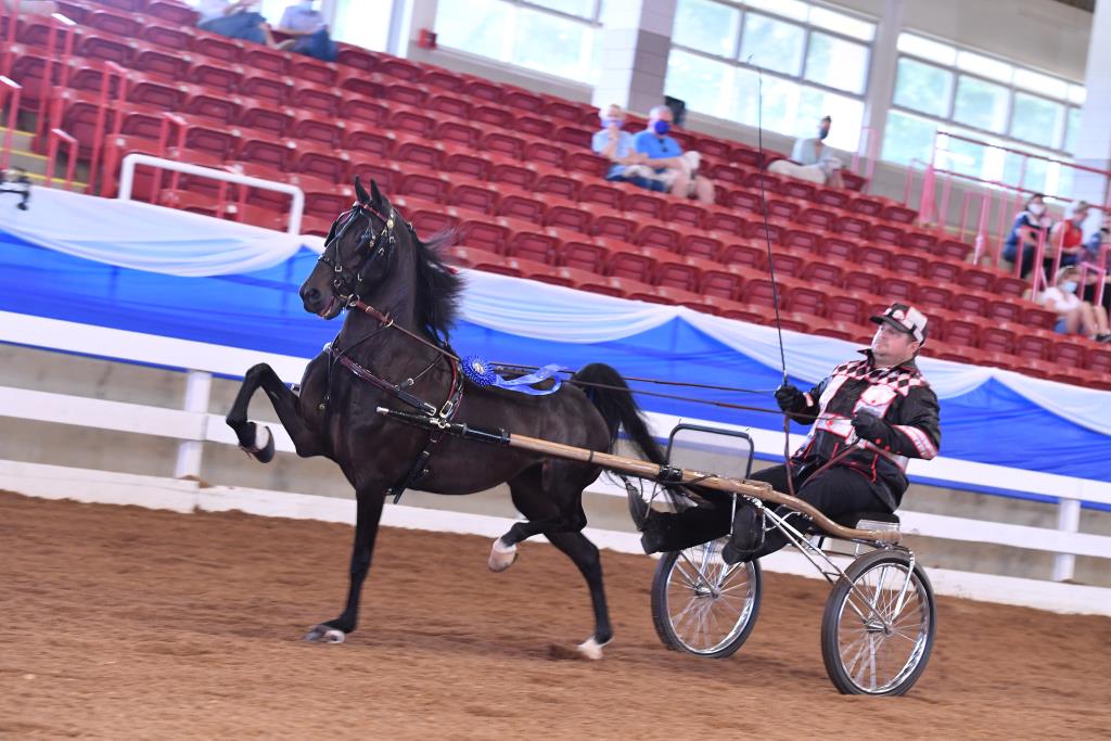 Blue Ridge Classic - Howard Schatzberg Horse Show Proofs - 2020 - www ...