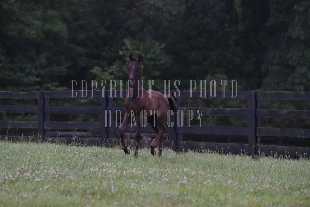 DeHart - Farm proofs - 2021 - www.howardschatzbergphoto.com