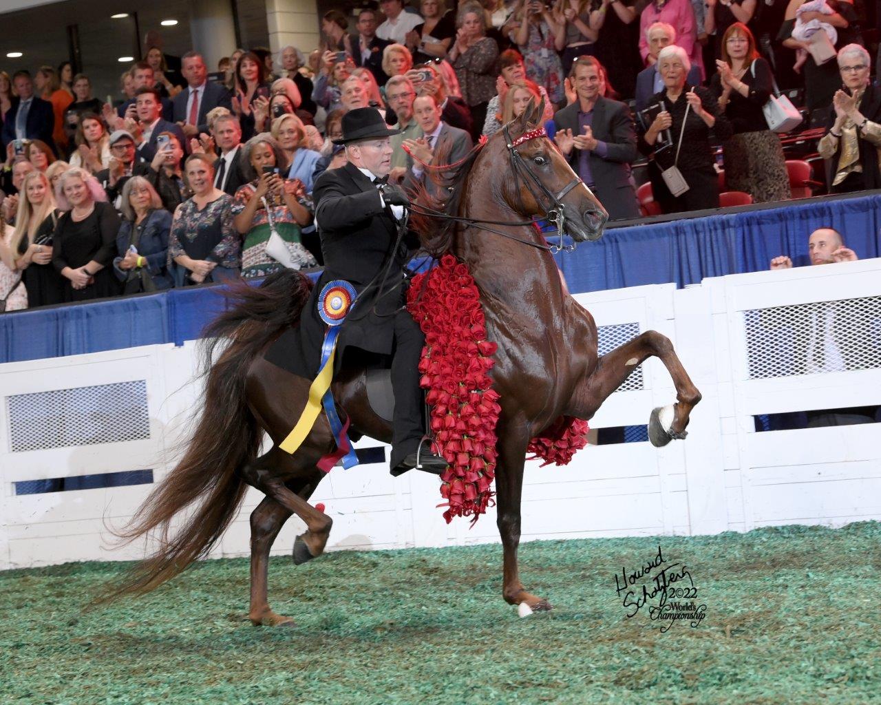 Kentucky State Fair - AUG 20, SATURDAY - EVENING - 005 - ASHBA National ...