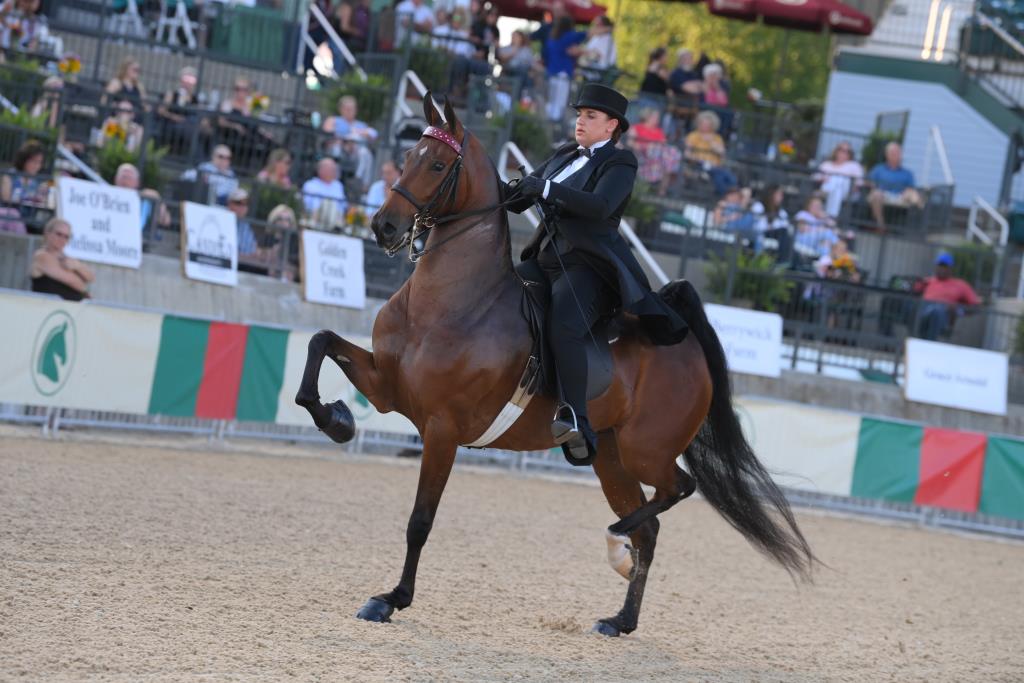 Lexington Junior League - Howard Schatzberg Horse Show Proofs - 2023 ...