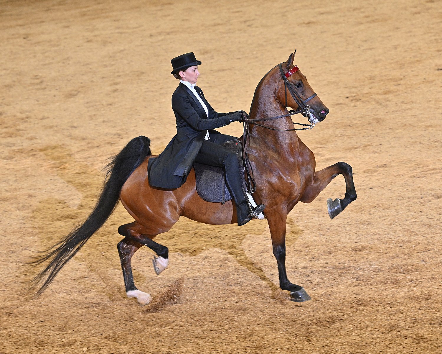 Blue Ridge Classic - Howard Schatzberg Horse Show Proofs - 2023 - www ...