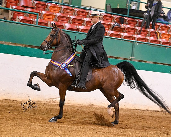 Where's Howie - www.howardschatzbergphoto.com