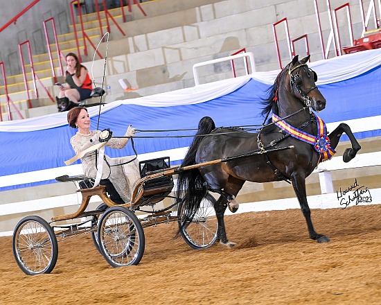 Where's Howie - www.howardschatzbergphoto.com