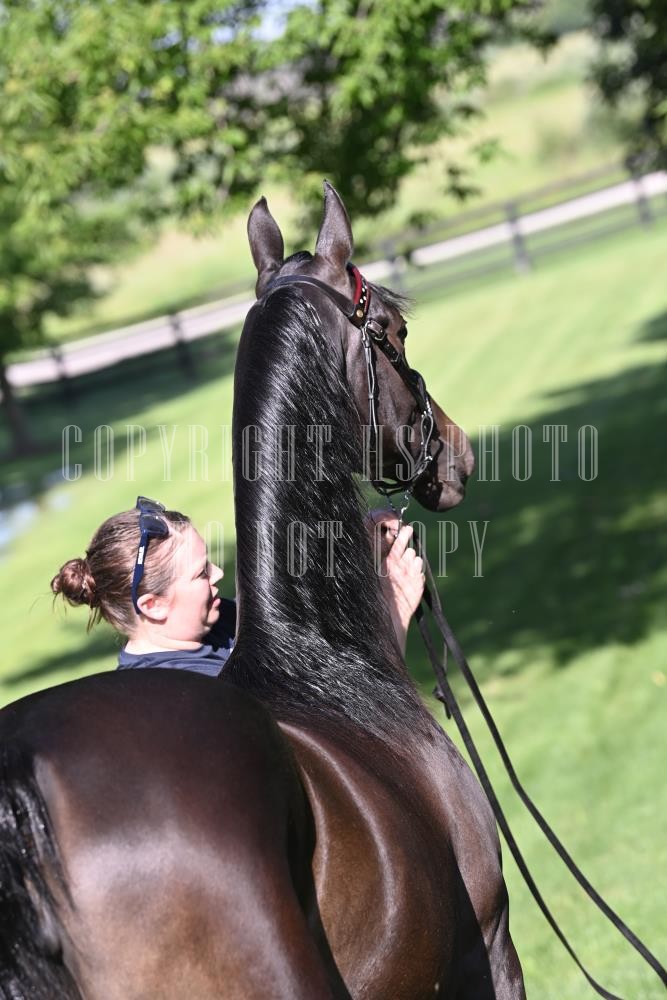 Kohler Stables - Farm proofs - 2024 - www.howardschatzbergphoto.com