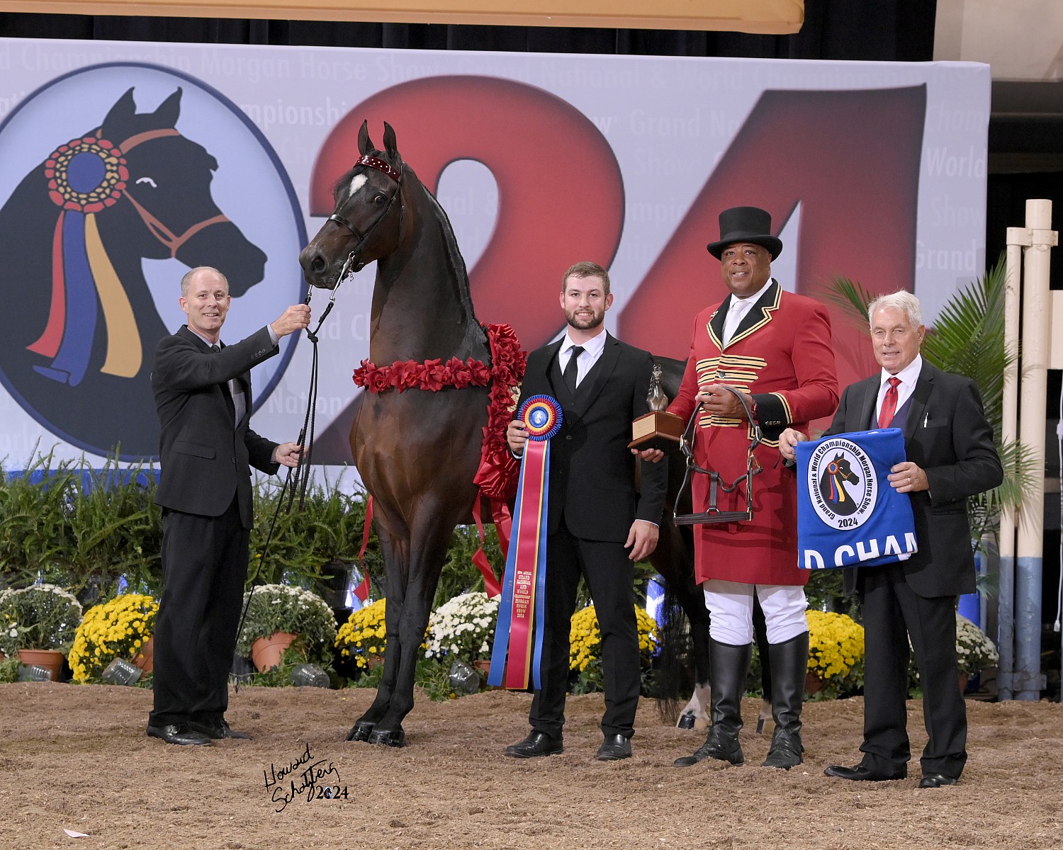 Morgan Grand Nationals - Howard Schatzberg Horse Show Proofs - 2024 ...