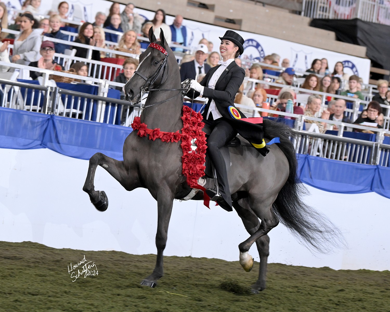 UPHA American Royal - Howard Schatzberg Horse Show Proofs - 2024 - www ...