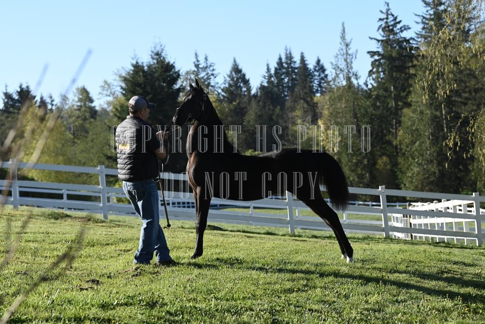 Fire Run - Farm proofs - 2025 - www.howardschatzbergphoto.com