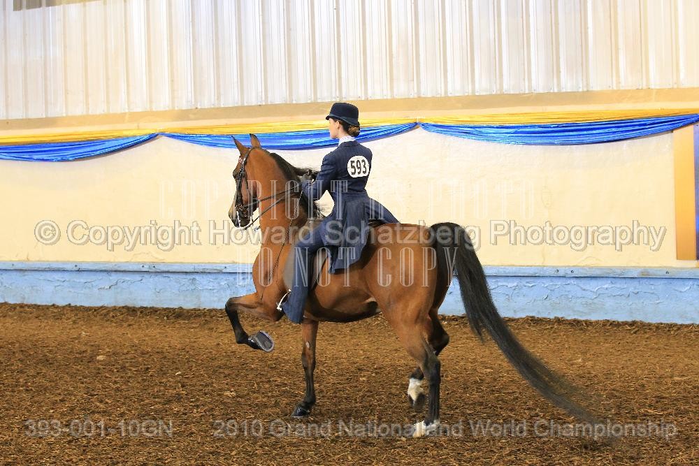 2026 Requested Archives - Howard Schatzberg Horse Show Proofs ...